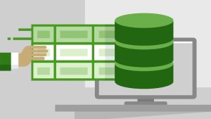 Visual Studio Veritabanı Bağlantısı,Ekle,Sil,Guncelle
